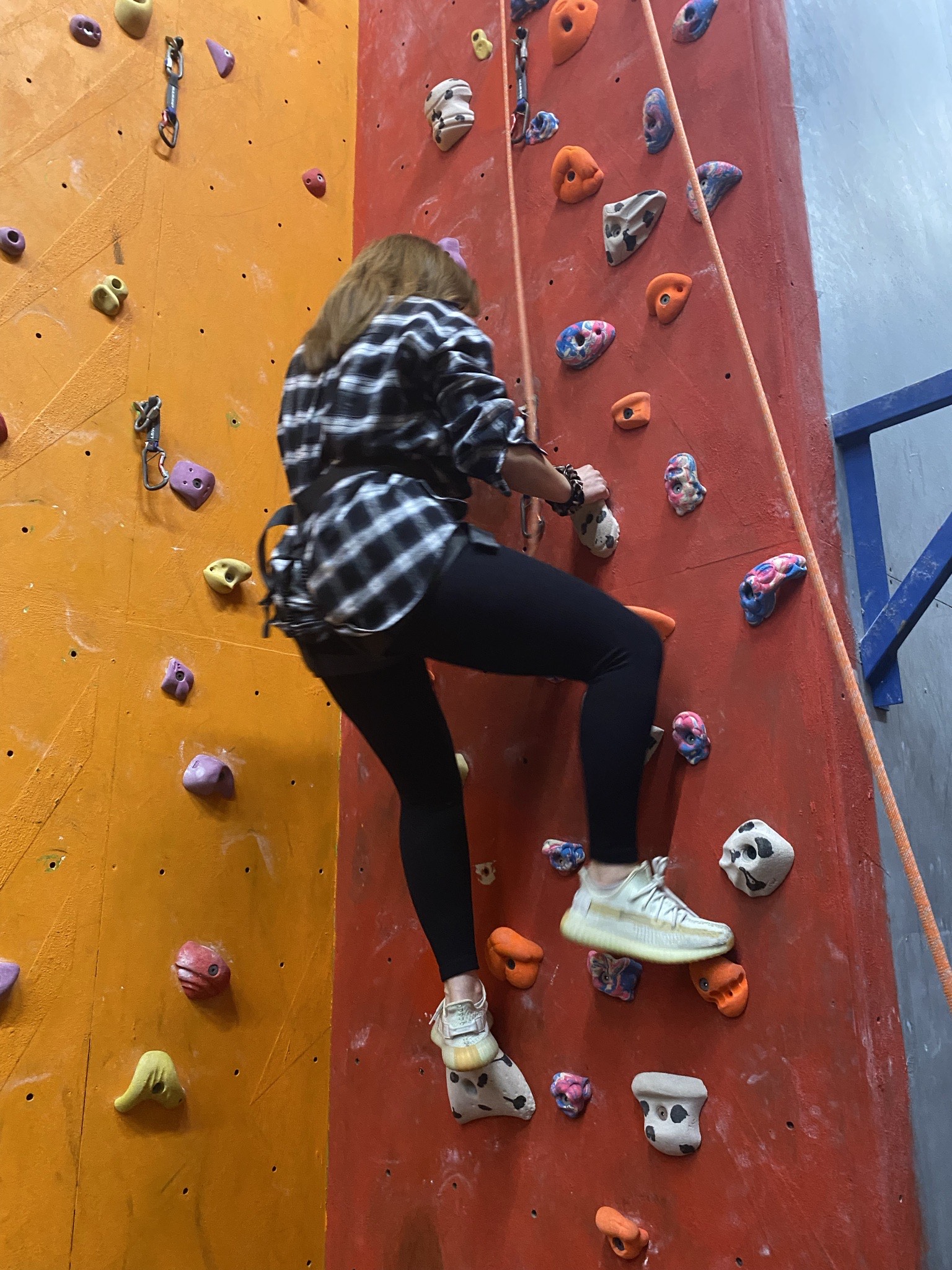 Corporate Groups - Alter Rock